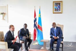 RDC : les éléments clés à savoir sur le fonctionnement de la SNEL SA ...