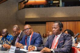 RDC : les éléments clés à savoir sur le fonctionnement de la SNEL SA ...