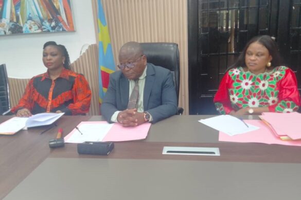 RDC : les éléments clés à savoir sur le fonctionnement de la SNEL SA ...