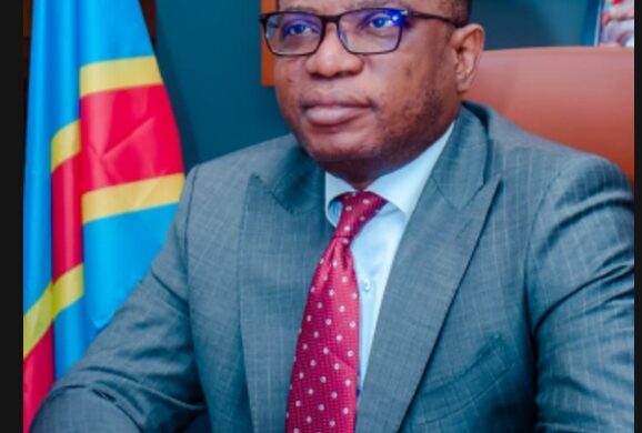RDC : les éléments clés à savoir sur le fonctionnement de la SNEL SA ...
